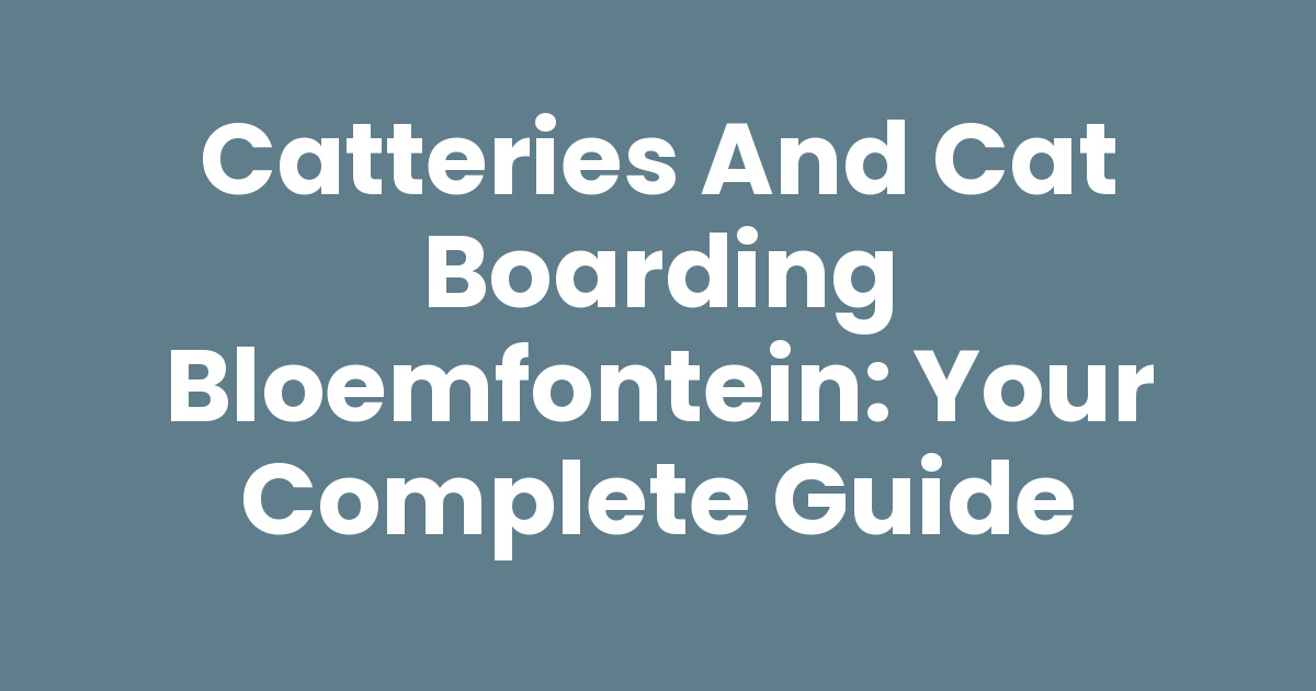 Catteries and Cat Boarding Bloemfontein: Your Complete Guide