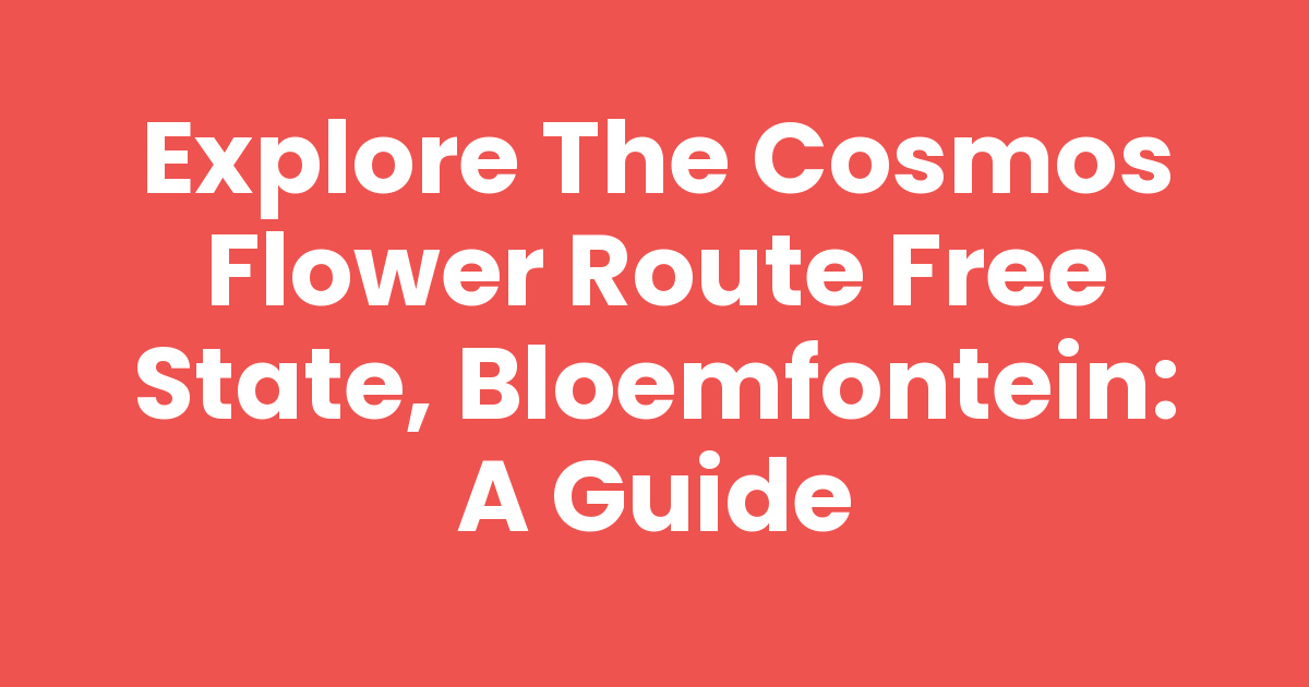 Explore the Cosmos Flower Route Free State, Bloemfontein: A Guide