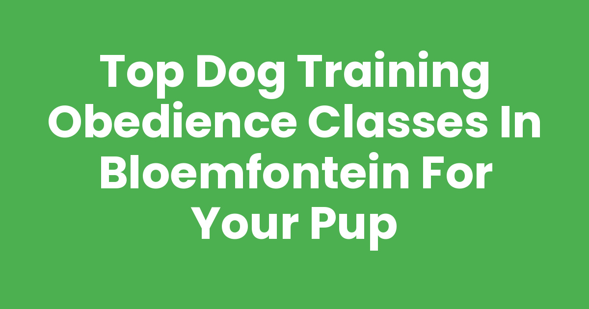 Top Dog Training Obedience Classes in Bloemfontein for Your Pup