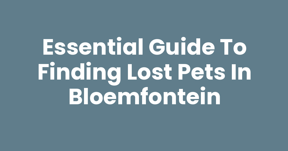 Essential Guide to Finding Lost Pets in Bloemfontein