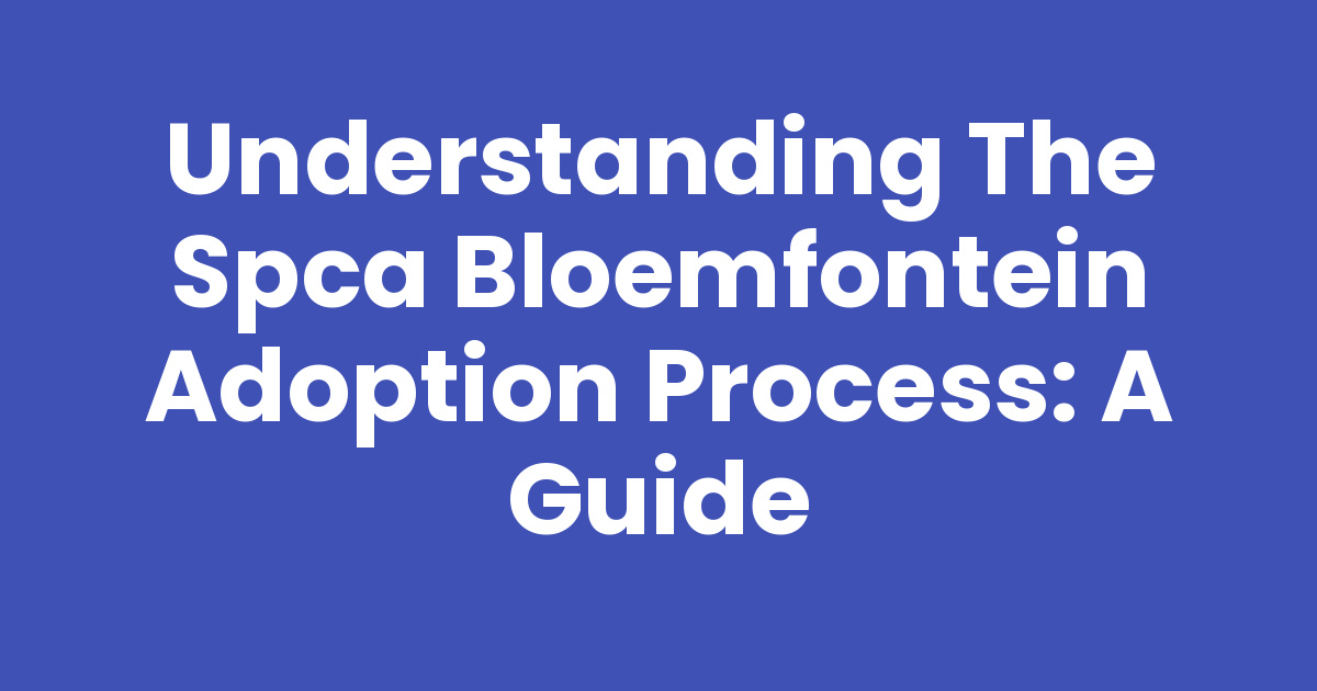 Understanding the SPCA Bloemfontein Adoption Process: A Guide