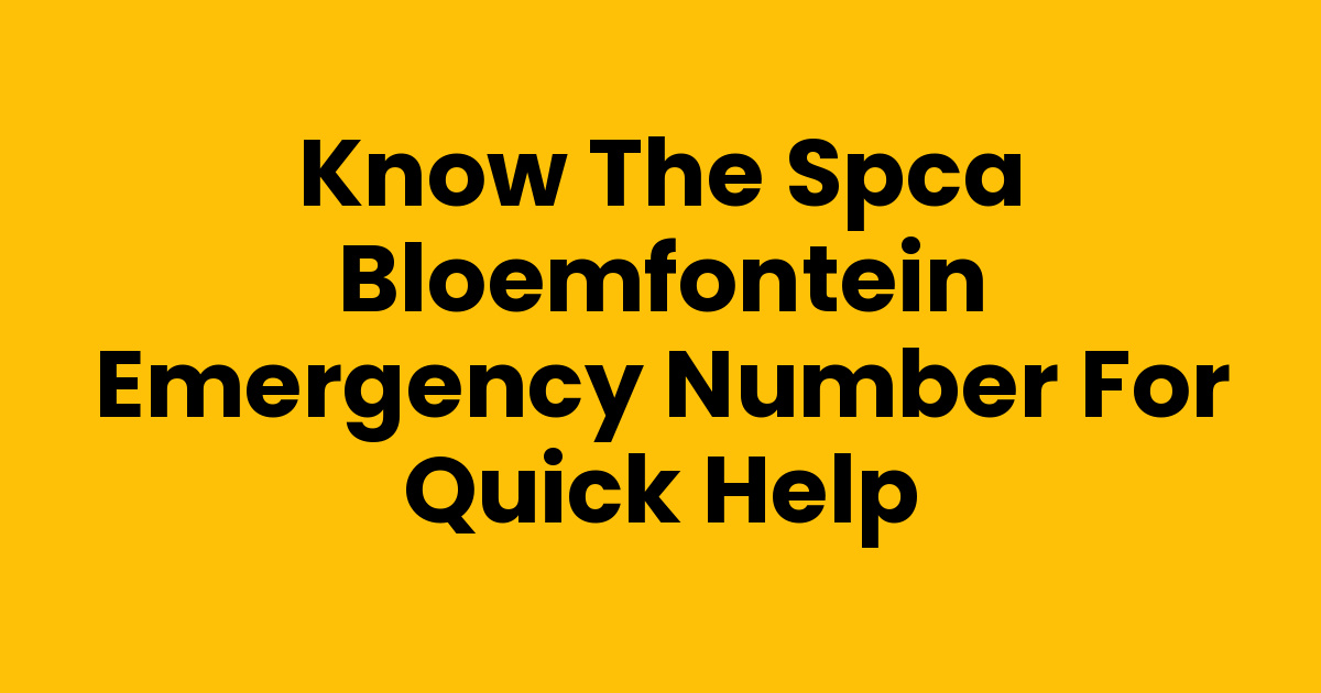 Know the SPCA Bloemfontein Emergency Number for Quick Help