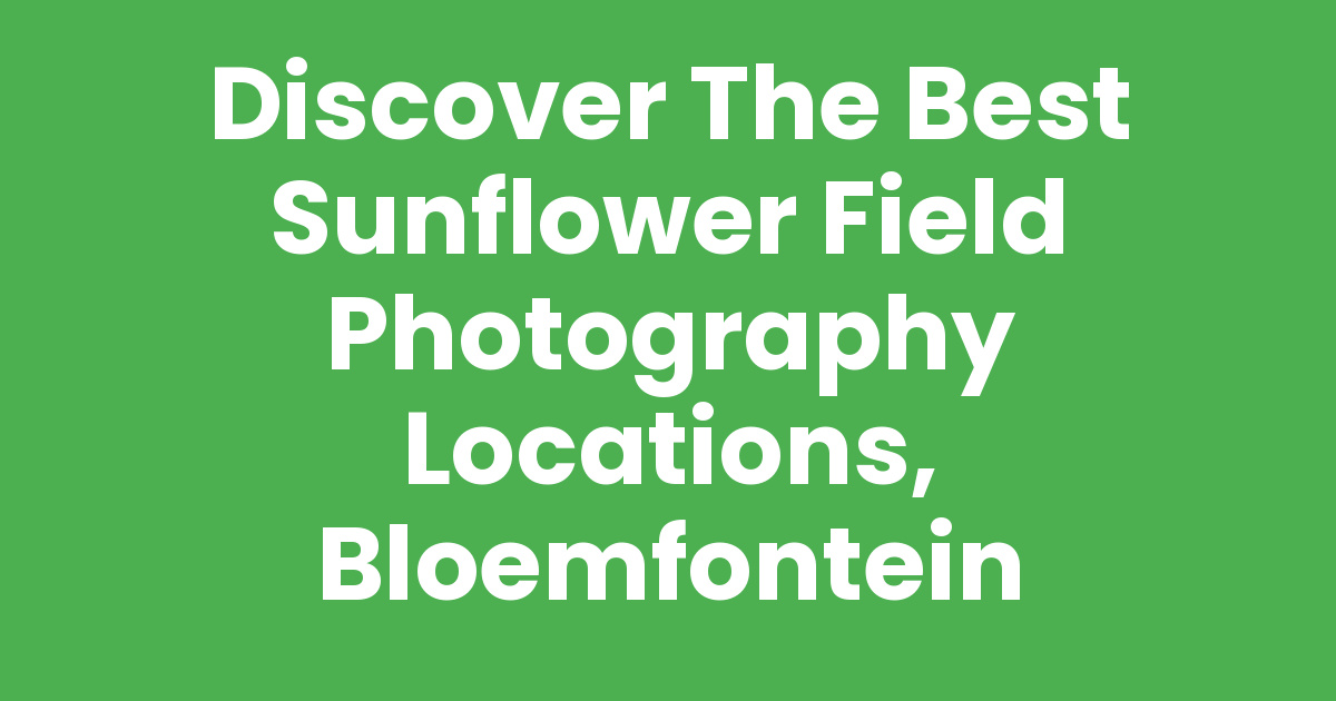 Discover the Best Sunflower Field Photography Locations, Bloemfontein